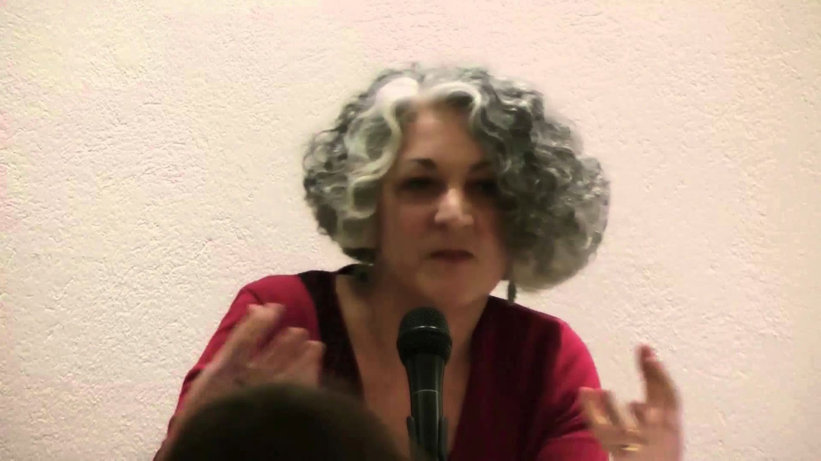 Interview mit Iris Hefets: „Pilgerfahrt nach Ausschwitz“