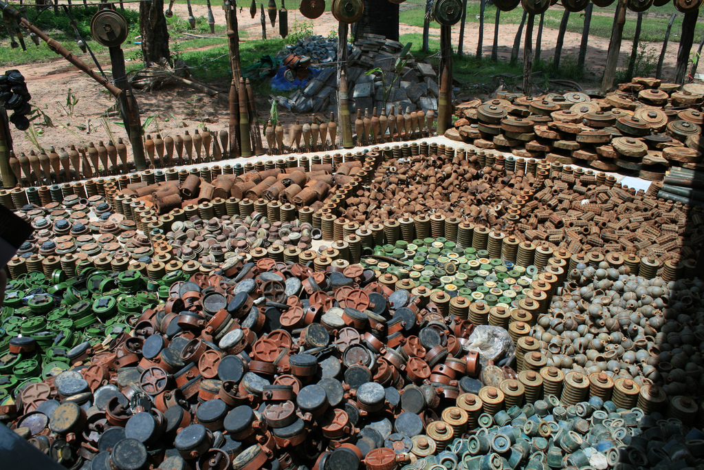 Mozambique removes last known landmine