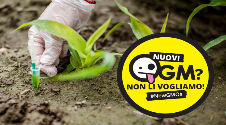 Il Parlamento italiano e le associazioni dell’agroindustria si ...