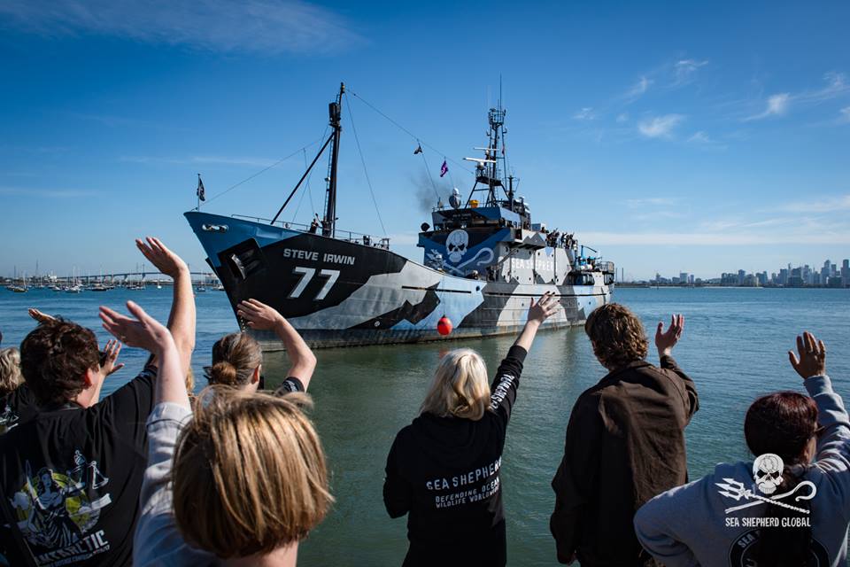 I pirati di Sea Shepherd in difesa dei mari
