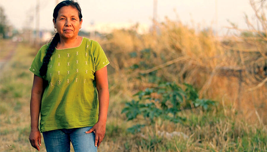 Los de Abajo - Los motivos de Marichuy