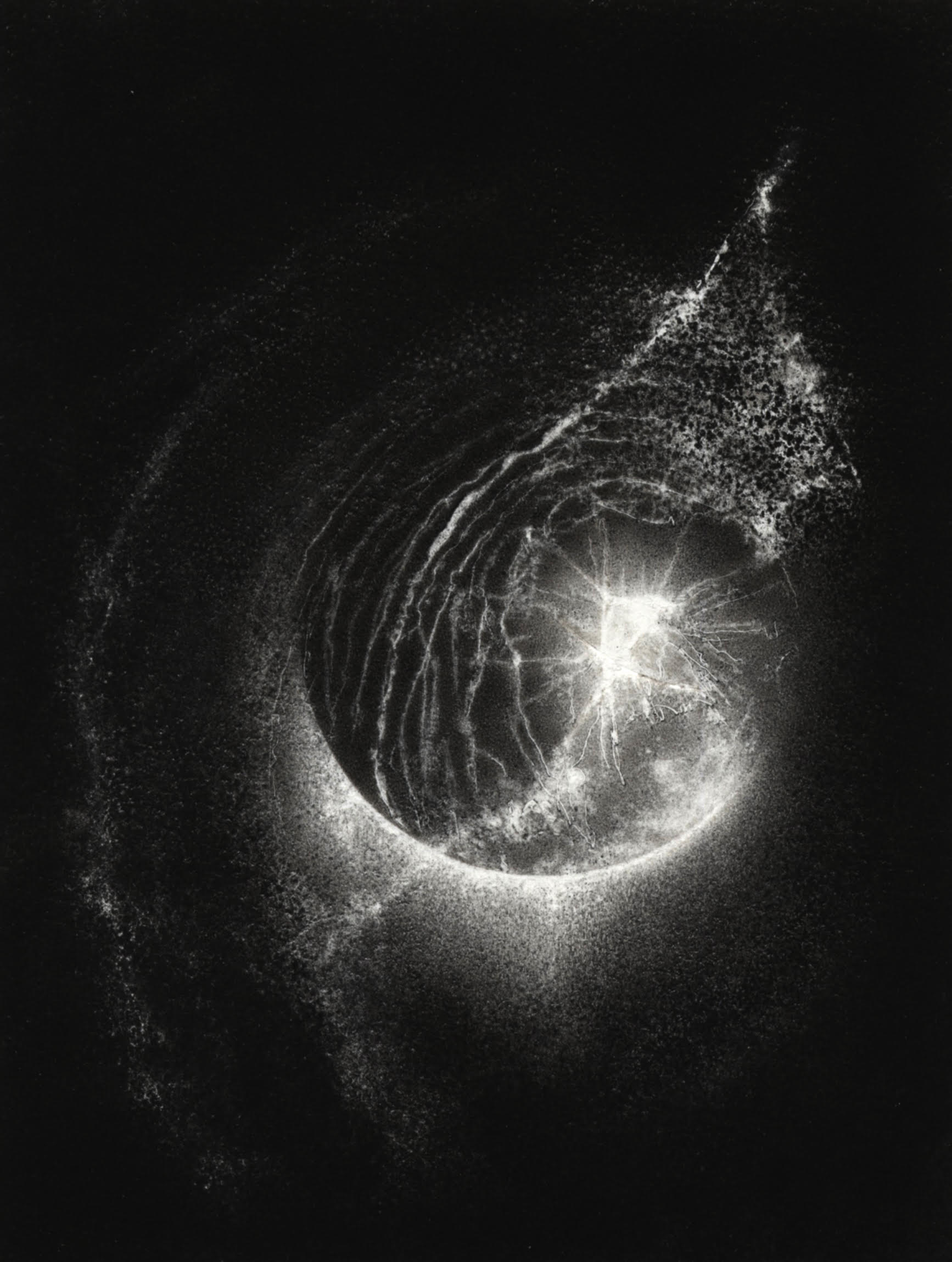 Printmakers Respond to the Dangers of Climate Change in an Exhibit at ...