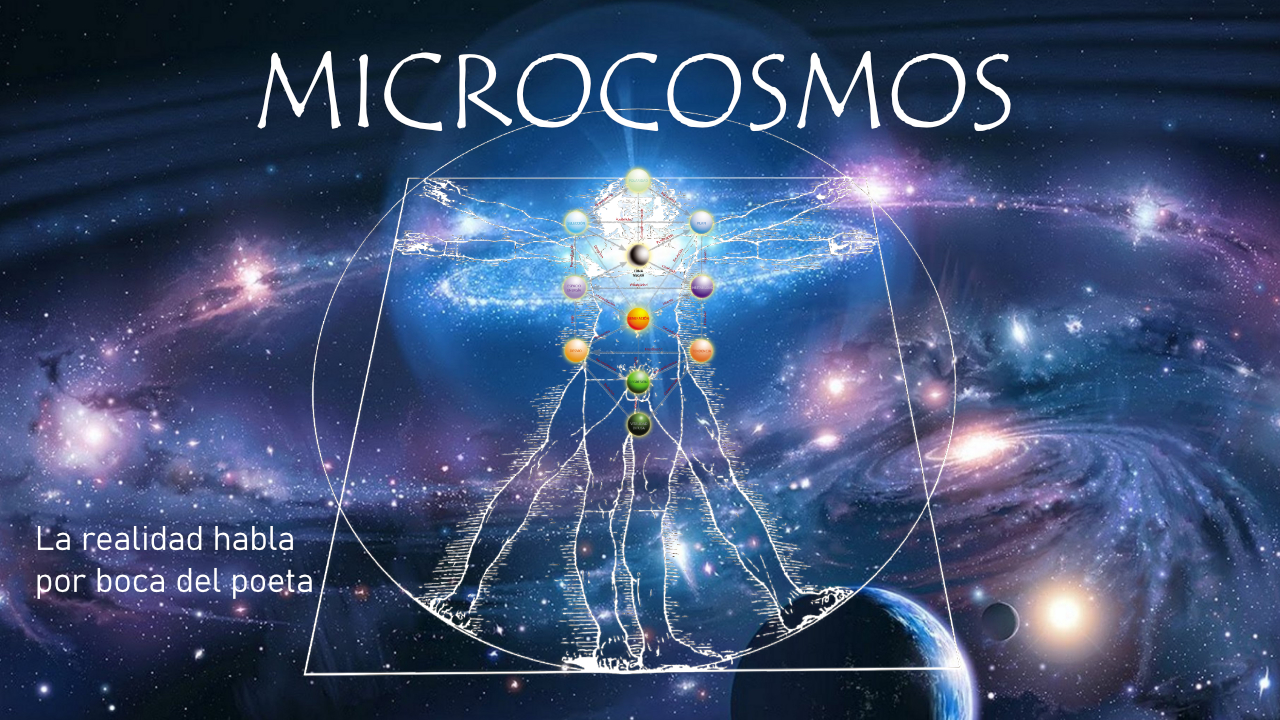Canal Microcosmos: el universo interior